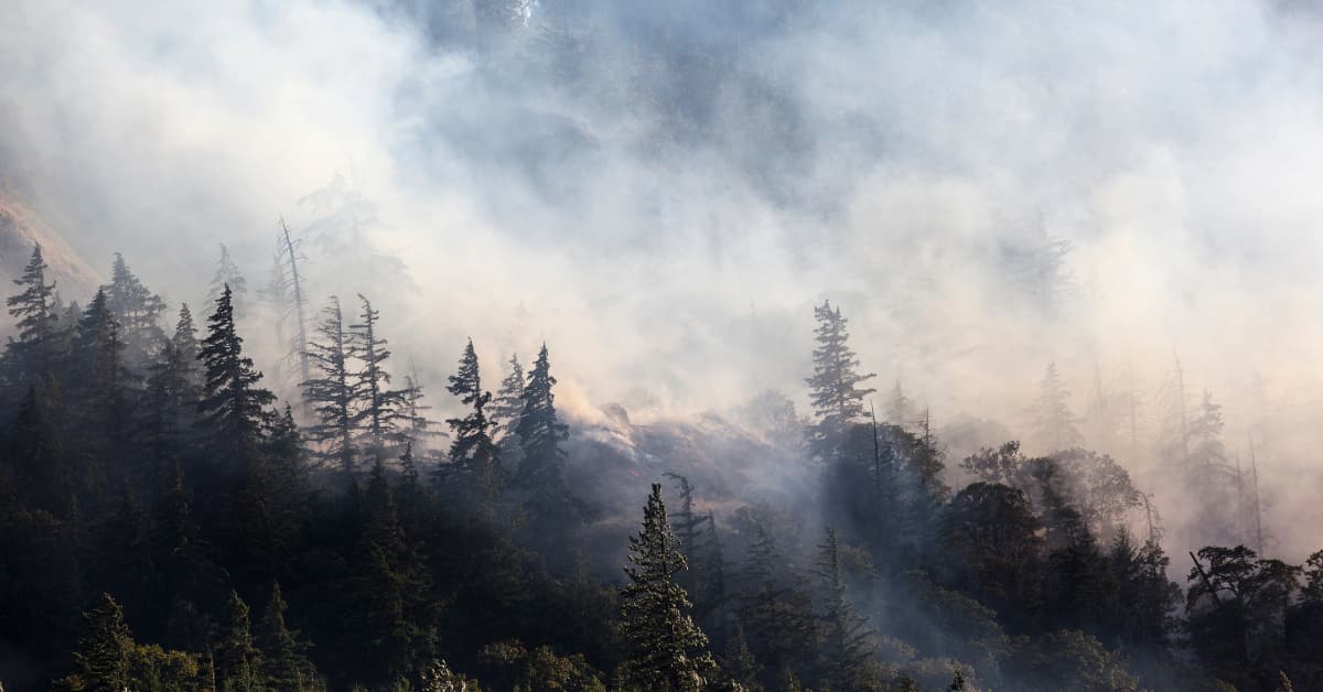 How to Keep Wildfire Smoke Out of Your House | HVAC & Air Quality Tips